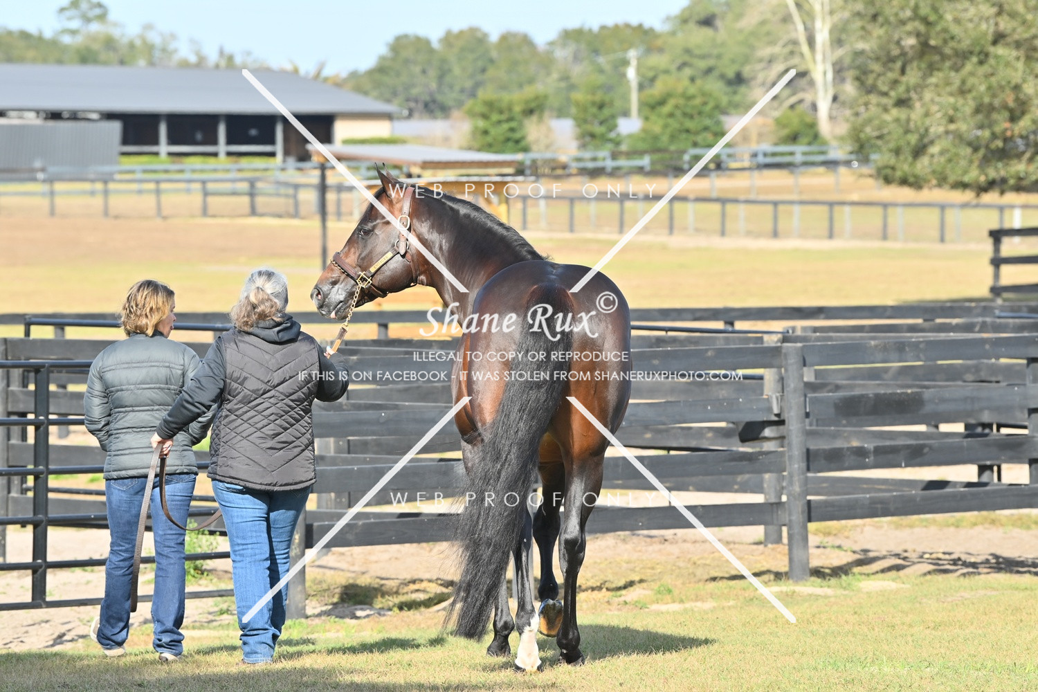 AMY GUMZ FARM SHOOT - Proofs - http://www.shaneruxphoto.com
